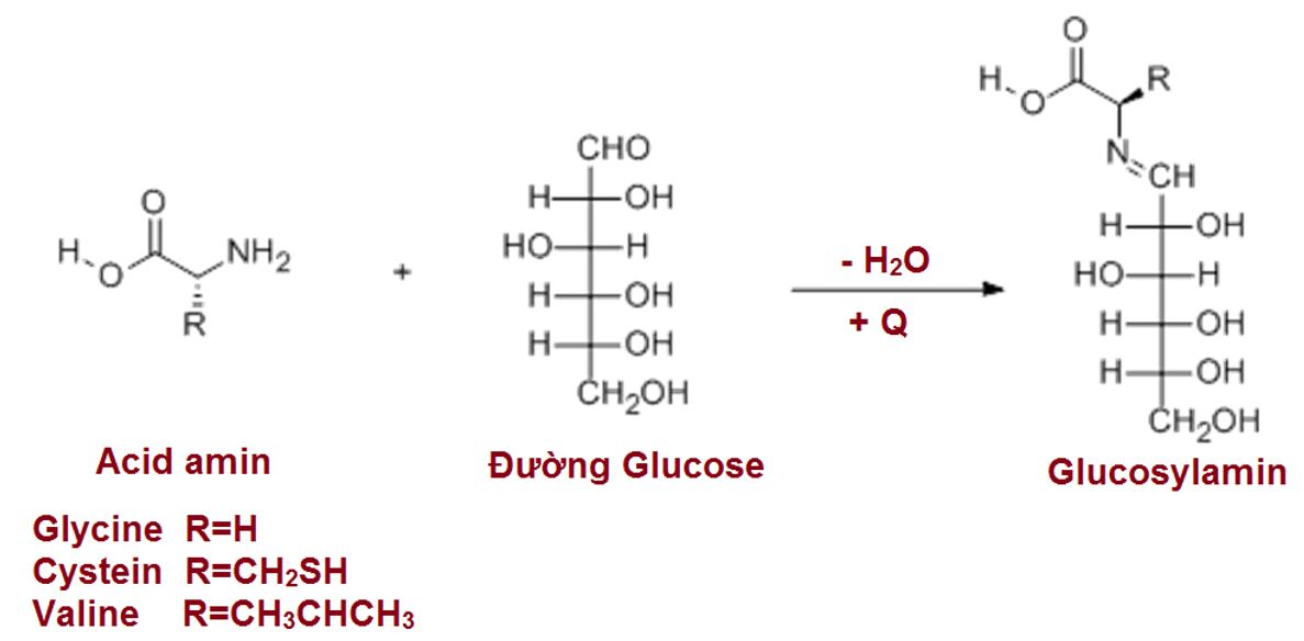 HÓA HỌC NGÀY NAY – Tìm hiểu phản ứng Maillard trong chế biến thực phẩm
